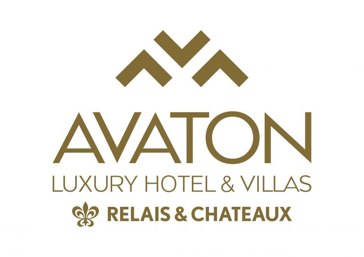 The Avaton Success Story: How Digital Room Service was Developed ...