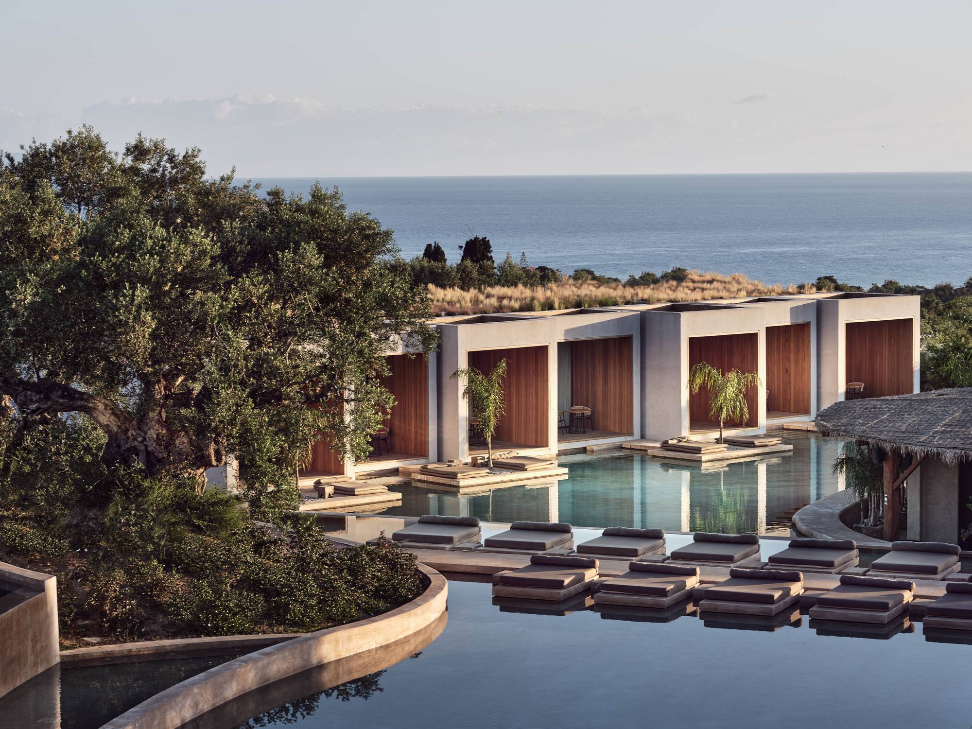 How Olea All Suite Hotel Managed To Efficiently Increase Its Revenue ...